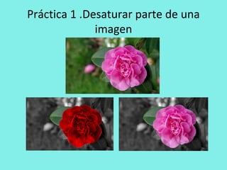Prácticas con gimp | PDF
