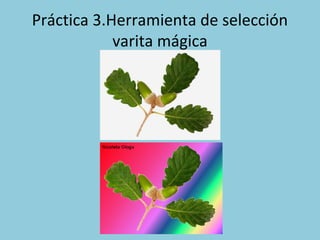 Prácticas con gimp | PDF