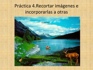 Prácticas con gimp | PDF
