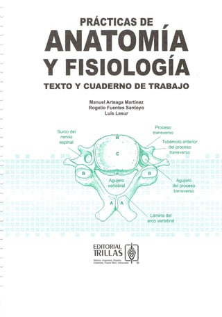 Prácticas de Anatomía y Fisiología.pdf