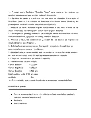 Prácticas Fisiología de especies acuáticas.pdf