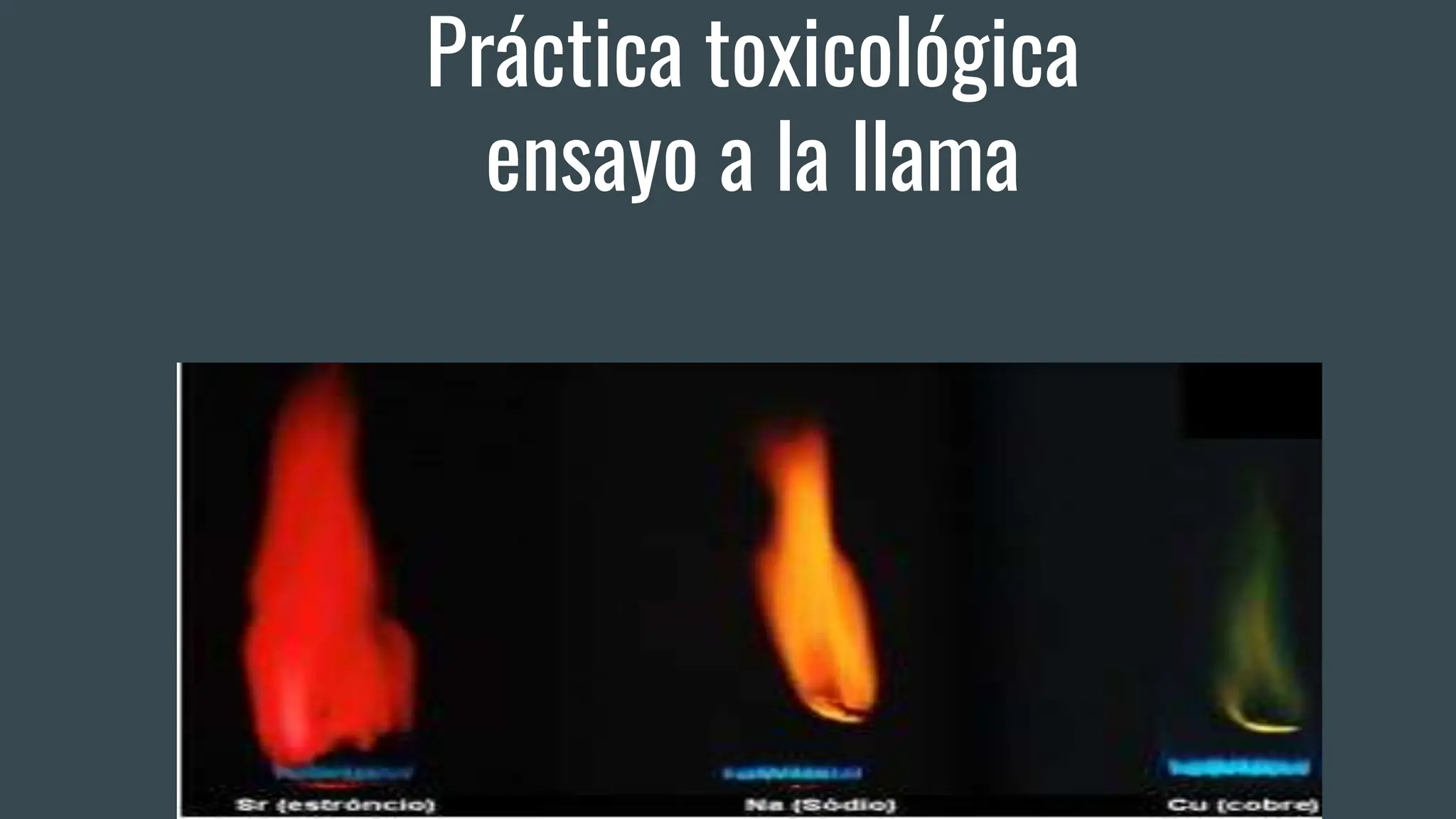 Práctica toxicológica ensayo a la llama.pptx