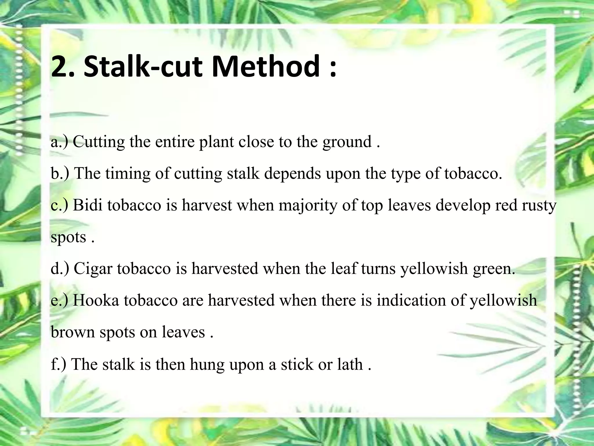 Tobacco ( Nicotiana spp. ) | PPTX