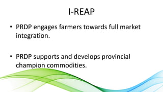 PRDP Right angles | PDF | Agriculture | Industries