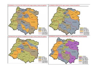 IEU Taller PRDU Maule URBE Alex Nohra | PDF