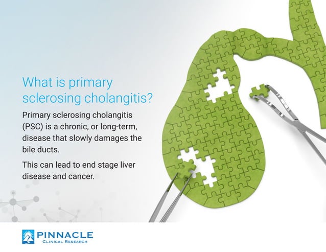 Primary Sclerosing Cholangitis (PSC) | PDF