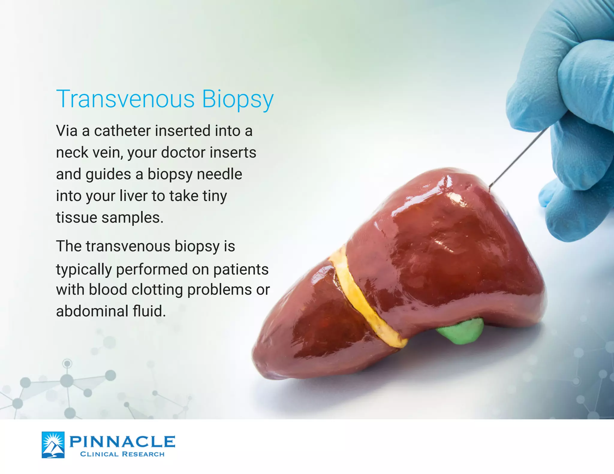 Liver Biopsy | PDF