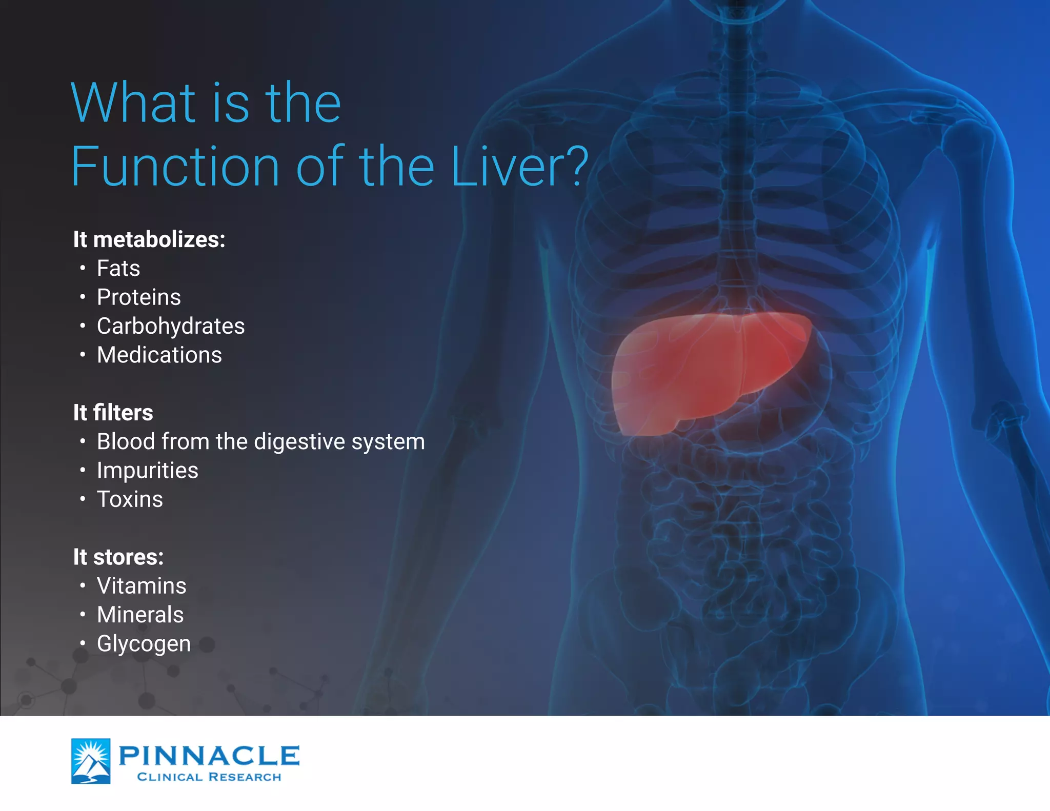 Differences between alcoholic fatty liver disease and non alcoholic ...