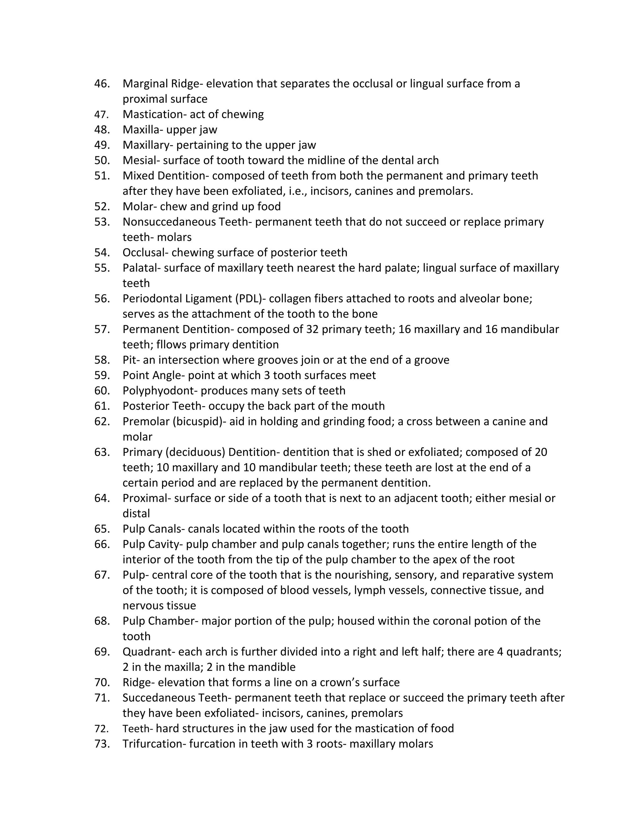 Oral Anatomy Terminology | PDF