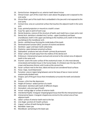 Oral Anatomy Terminology | PDF