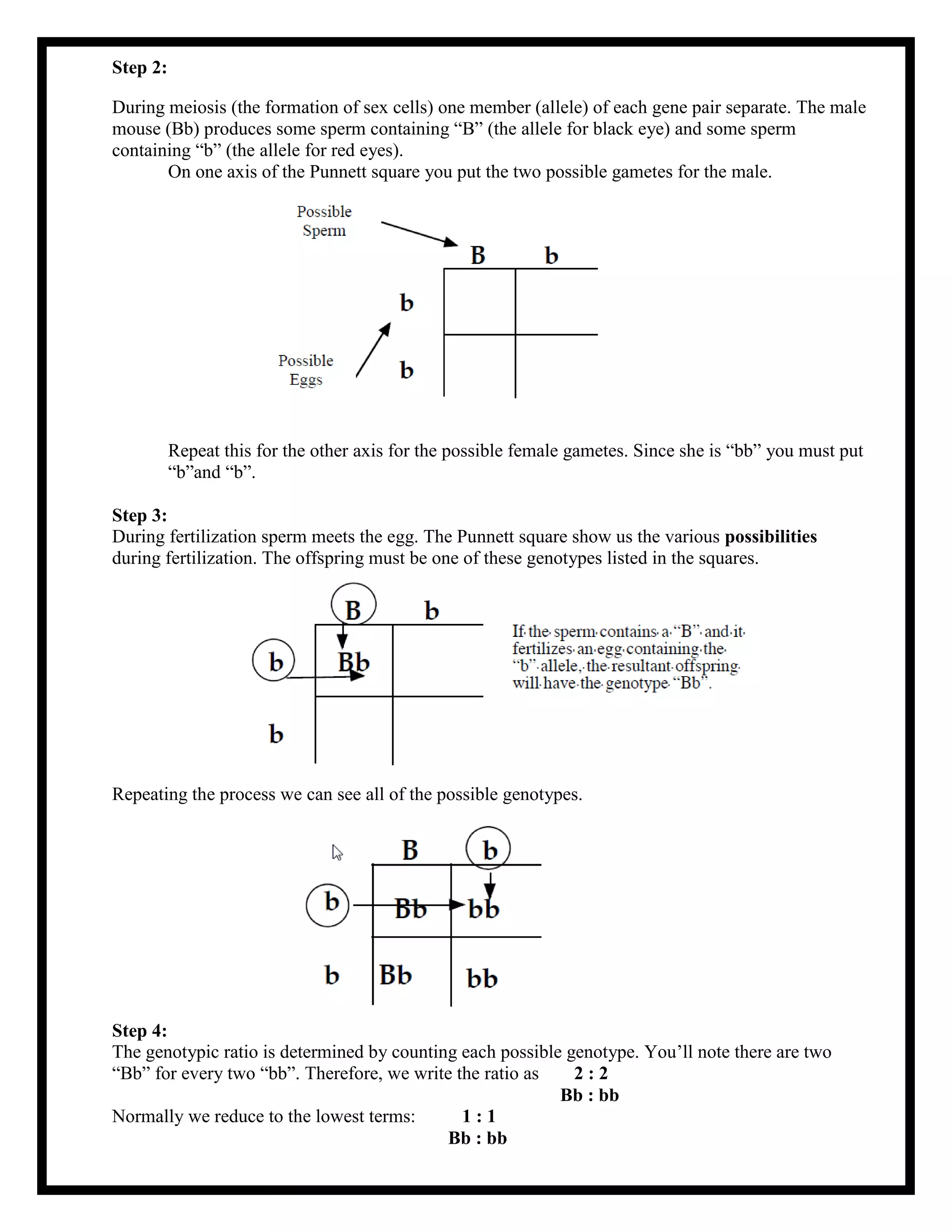 Pre-AP_Biology_Unit_04_-_Genetics_Practice_Set.pdf
