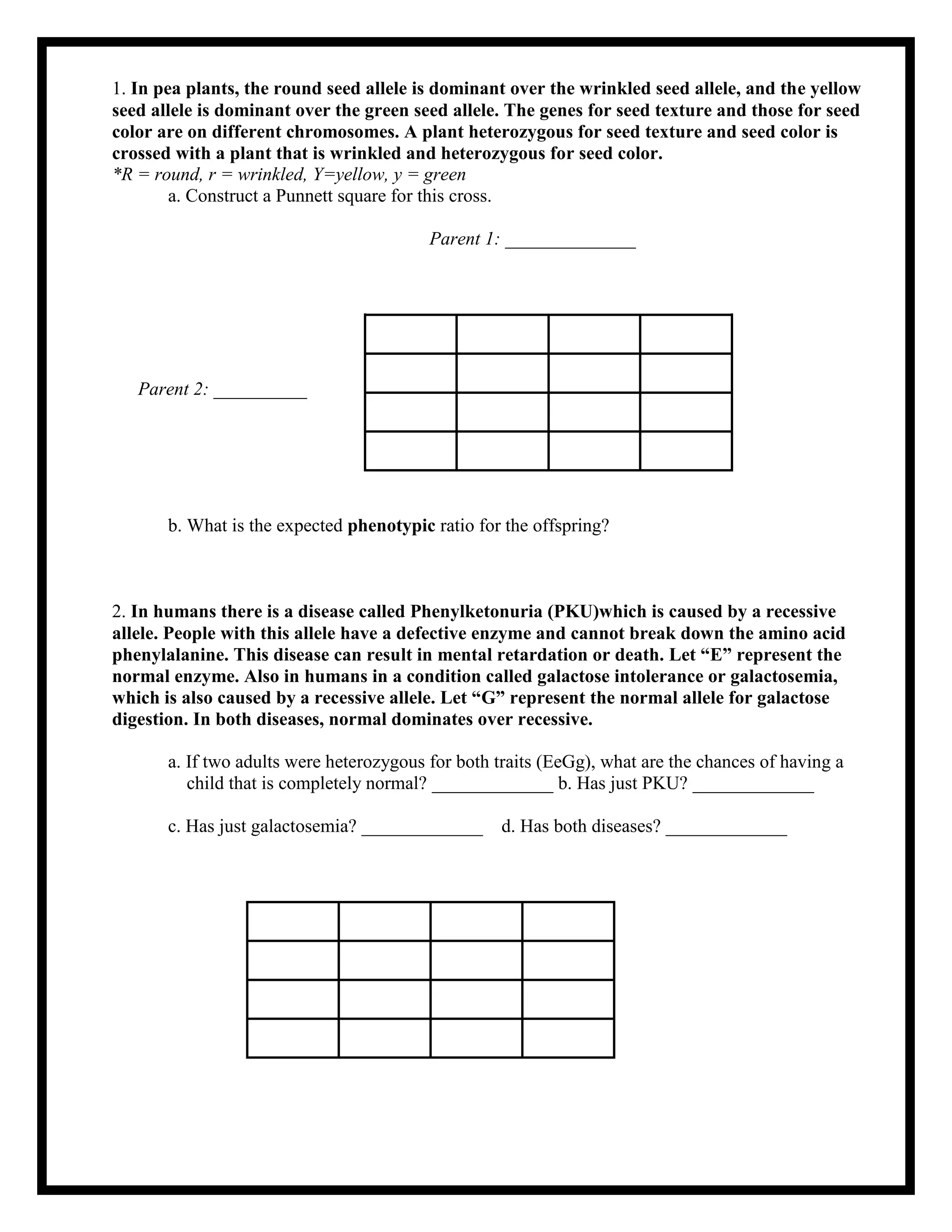 Pre-AP_Biology_Unit_04_-_Genetics_Practice_Set.pdf