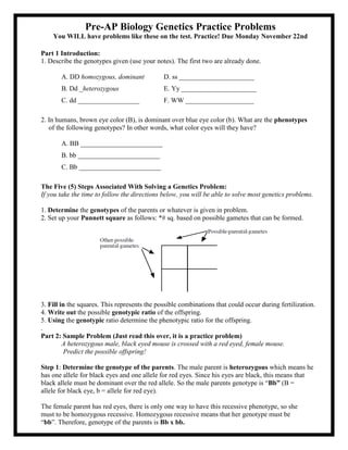 Pre-AP_Biology_Unit_04_-_Genetics_Practice_Set.pdf