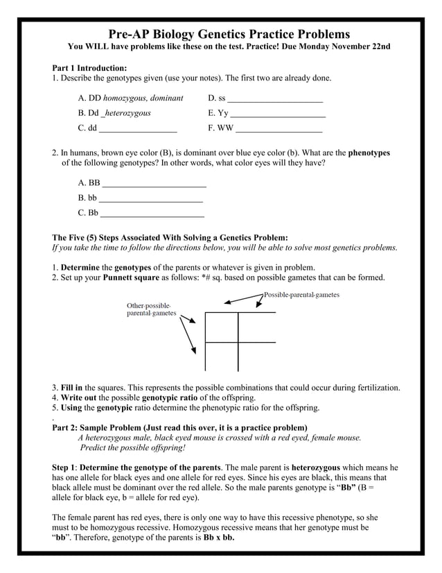 Pre-AP_Biology_Unit_04_-_Genetics_Practice_Set.pdf