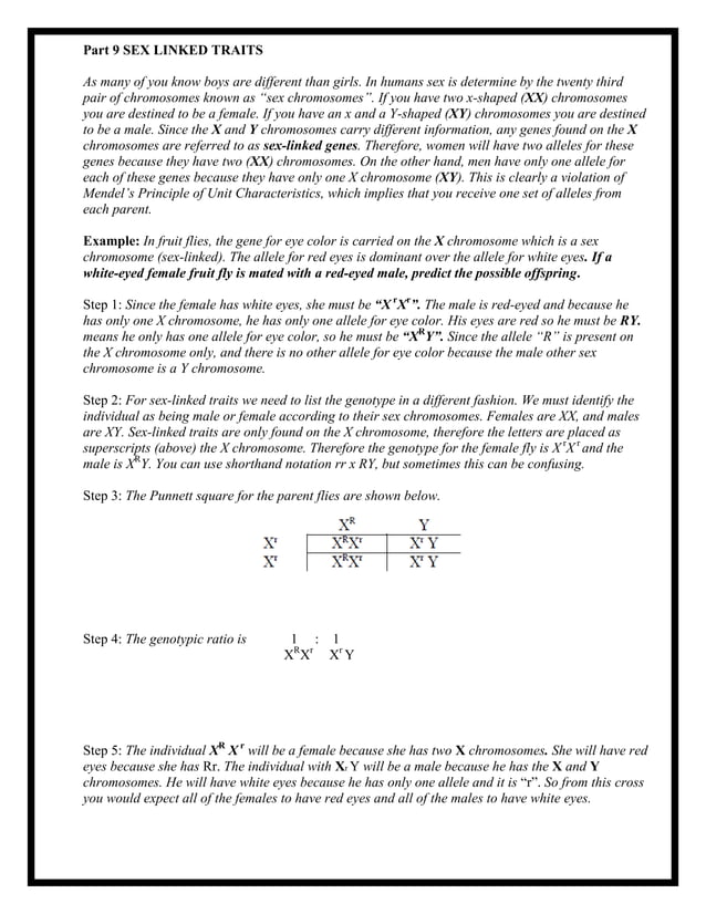 Pre-AP_Biology_Unit_04_-_Genetics_Practice_Set.pdf