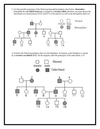 Pre-AP_Biology_Unit_04_-_Genetics_Practice_Set.pdf