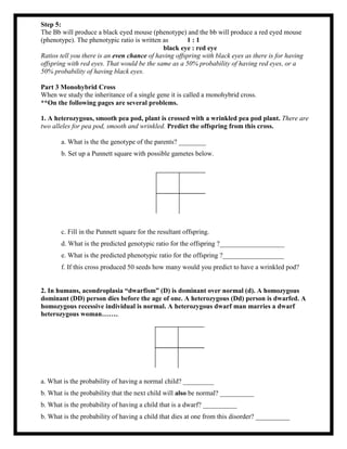 Pre-AP_Biology_Unit_04_-_Genetics_Practice_Set.pdf