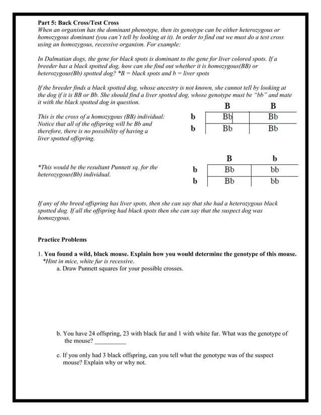 Pre-AP_Biology_Unit_04_-_Genetics_Practice_Set.pdf