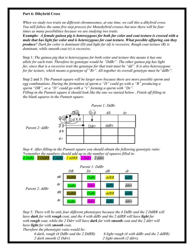 Pre-AP_Biology_Unit_04_-_Genetics_Practice_Set.pdf
