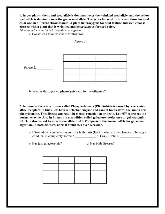 Pre-AP_Biology_Unit_04_-_Genetics_Practice_Set.pdf