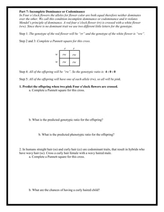 Pre-AP_Biology_Unit_04_-_Genetics_Practice_Set.pdf