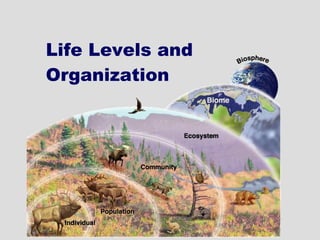 Pre-AP Tie-in Objective 8.14A, B, and C Ecosystems and Pollution | PPT