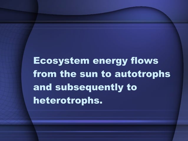 Pre-AP Tie-in Objective 8.14A, B, and C Ecosystems and Pollution | PPT
