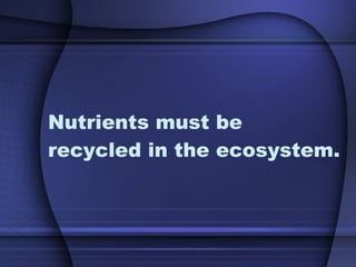 Pre-AP Tie-in Objective 8.14A, B, and C Ecosystems and Pollution | PPT