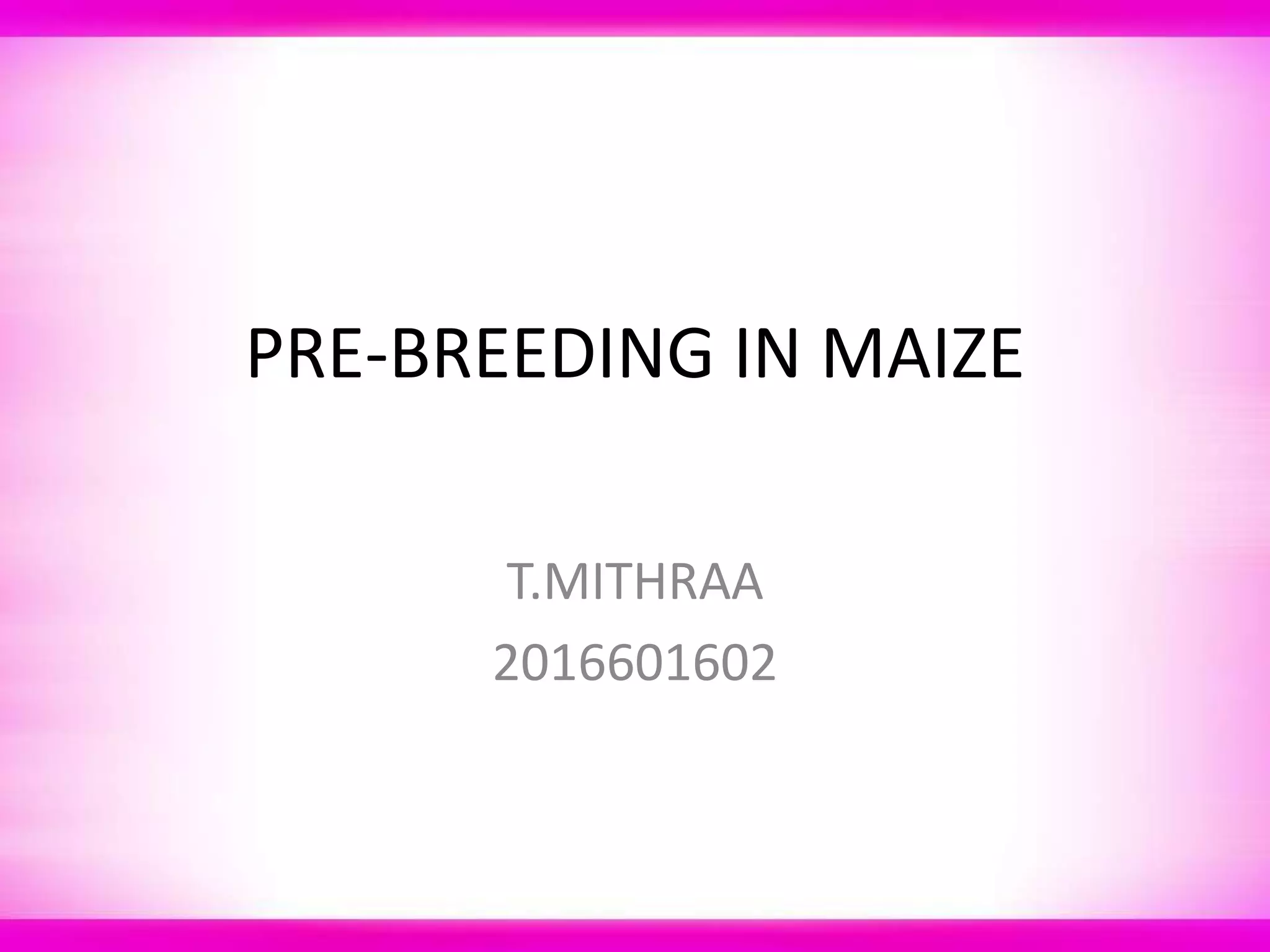 Pre breeding in maize | PPT