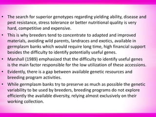 Pre breeding in maize | PPT