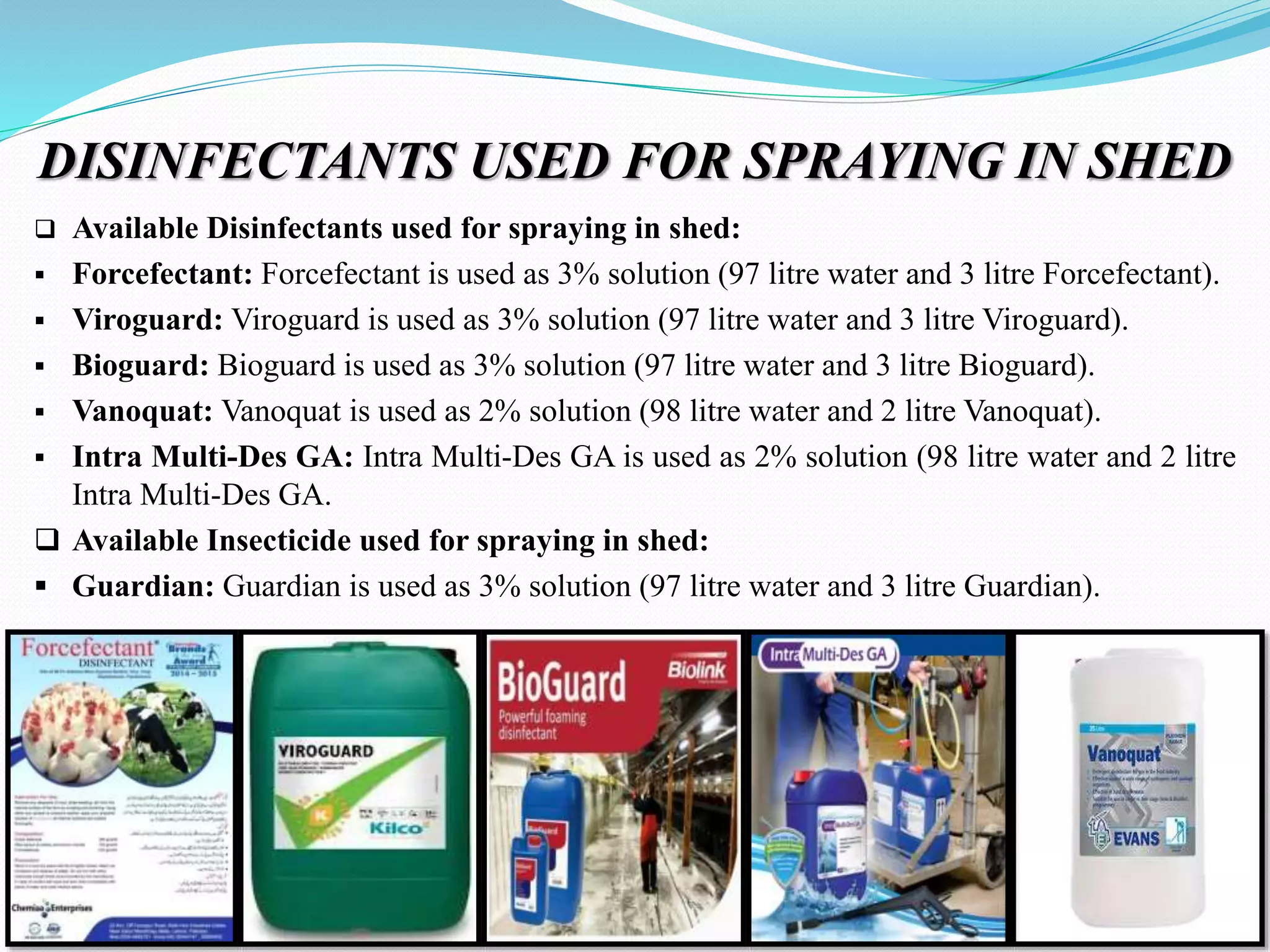 "Pre-Brooding Management" | PPTX