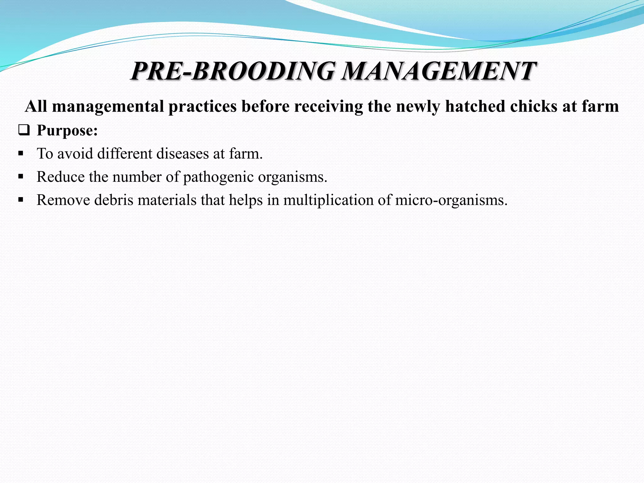 "Pre-Brooding Management" | PPTX