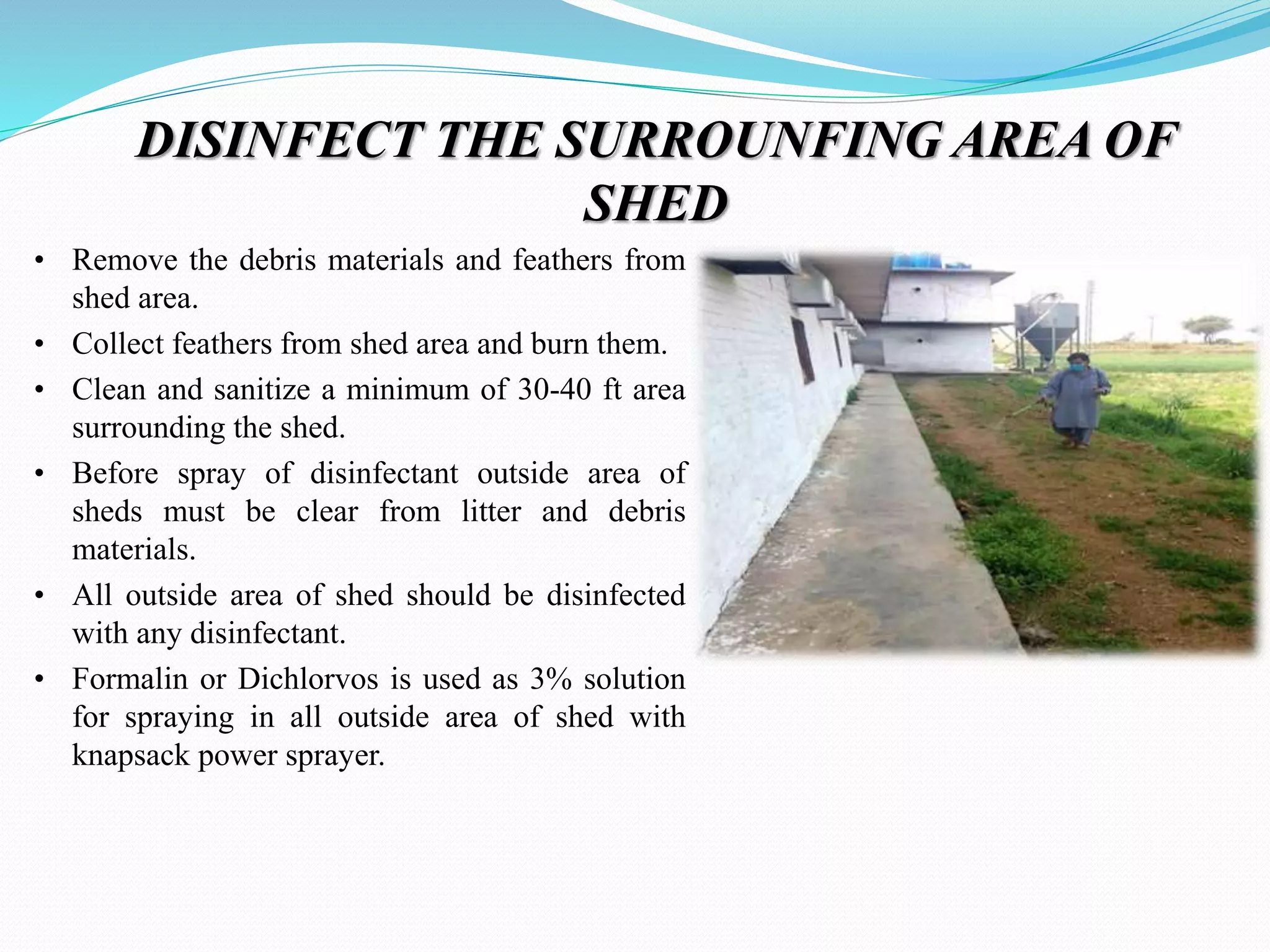 "Pre-Brooding Management" | PPTX