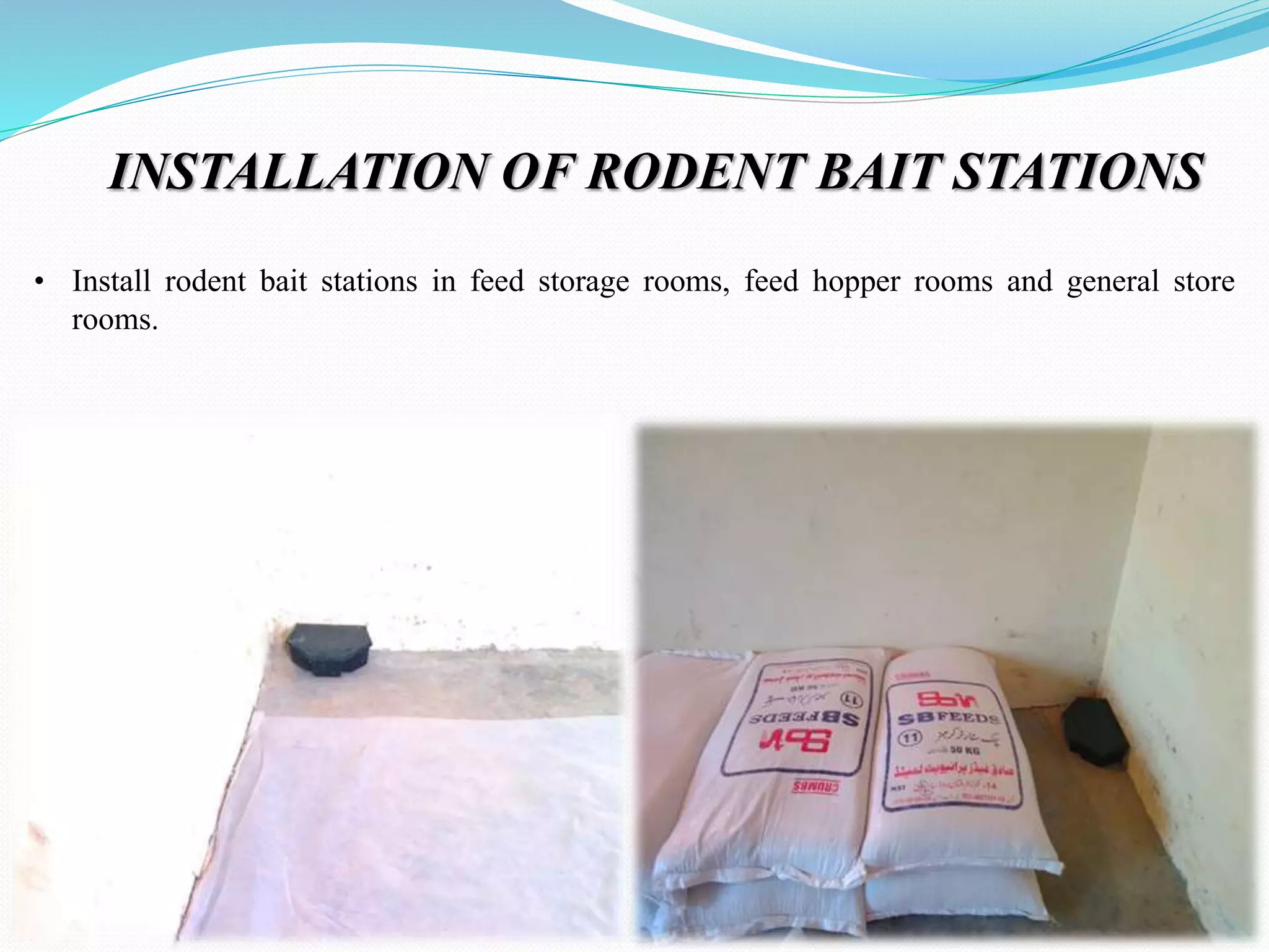 "Pre-Brooding Management" | PPTX