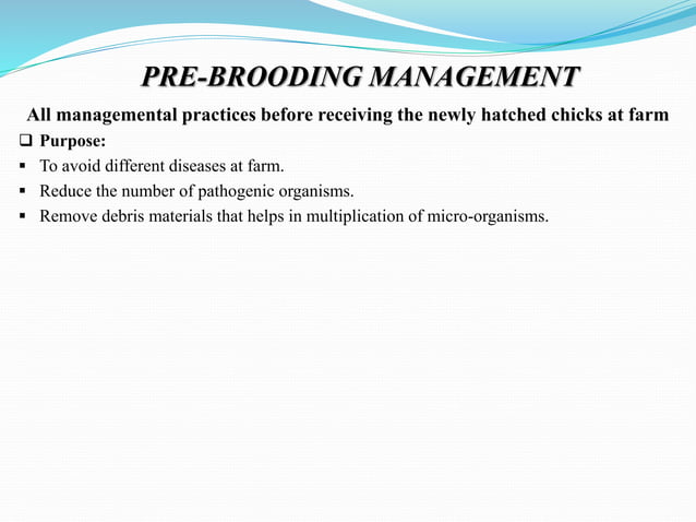 "Pre-Brooding Management" | PPTX