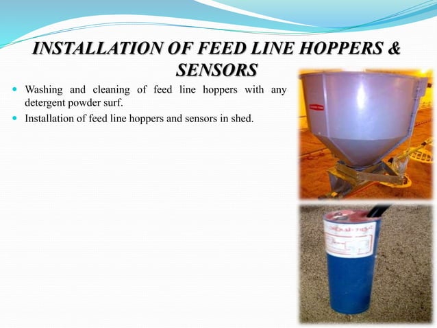 "Pre-Brooding Management" | PPTX