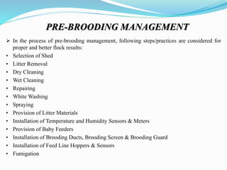 "Pre-Brooding Management" | PPTX