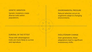PRE-CAMBRIAN EVOLUTION POWERPOINT PRESENTATION.pptx