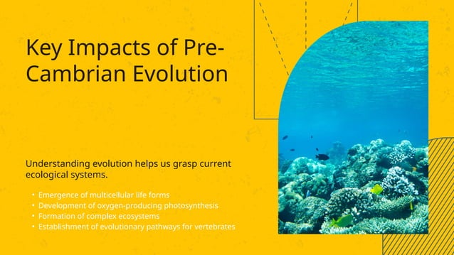 PRE-CAMBRIAN EVOLUTION POWERPOINT PRESENTATION.pptx