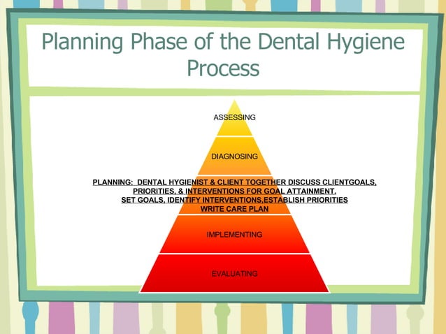 Pre Clinic Theory Care Plan | PPT