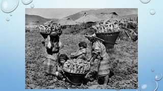 Pre-colonial period.pptx