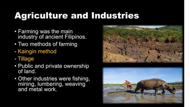 Pre-Colonial Philippines Practices, Culture, Customs,.pdf | Wedding ...