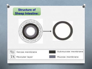 Pre defense sample slide | PPTX