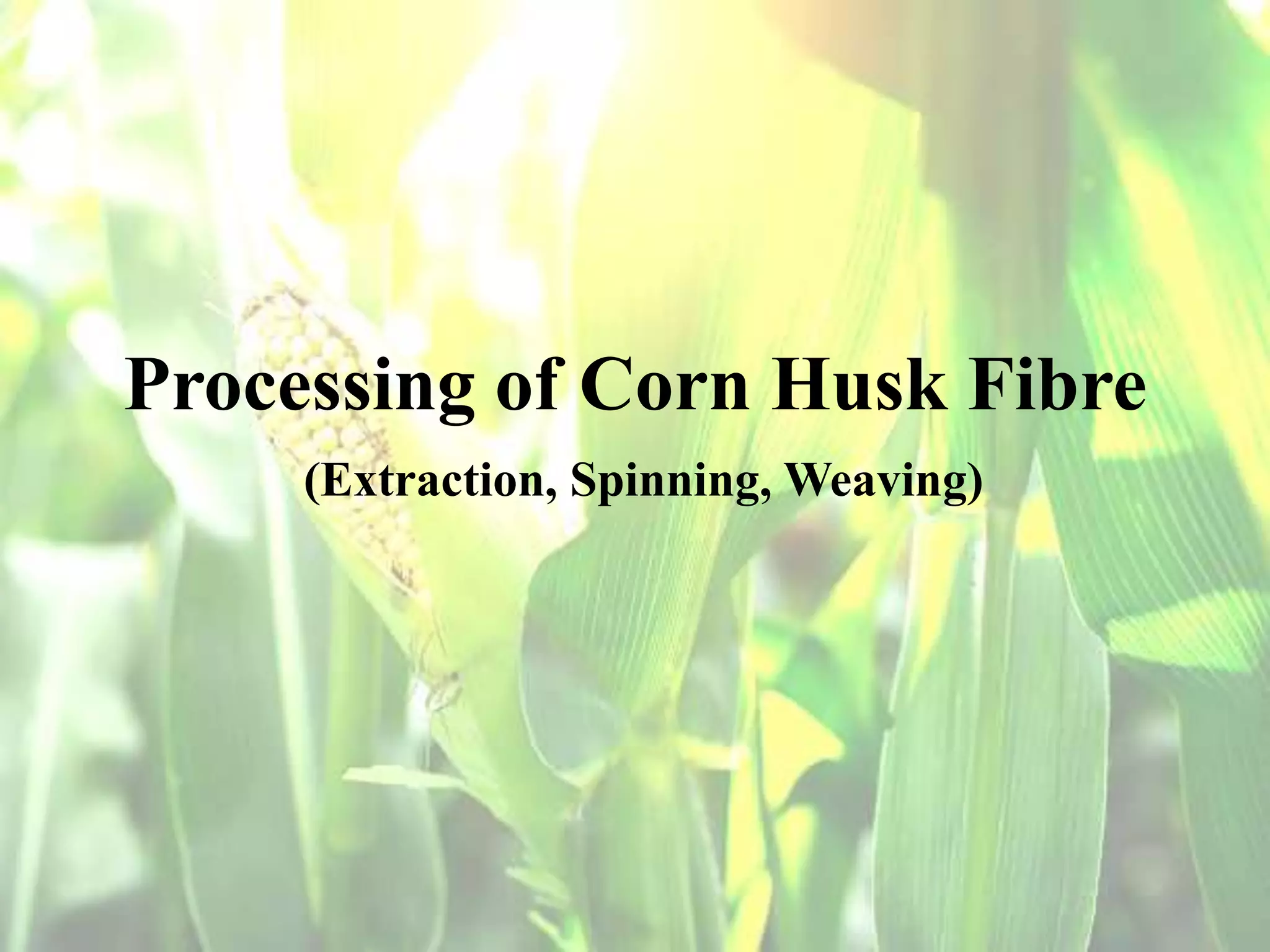 Study on Corn Husk | PPTX