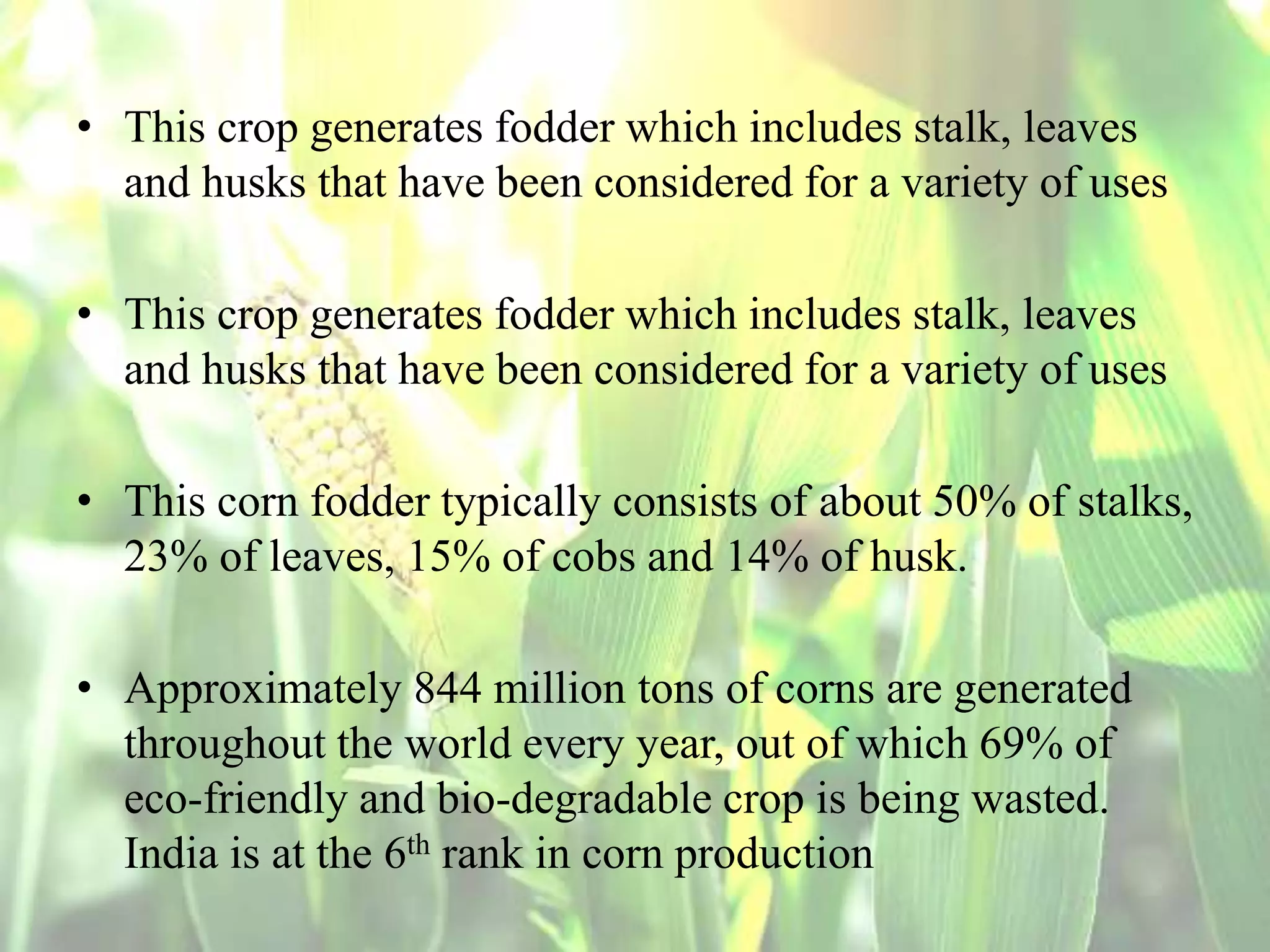 Study on Corn Husk | PPTX