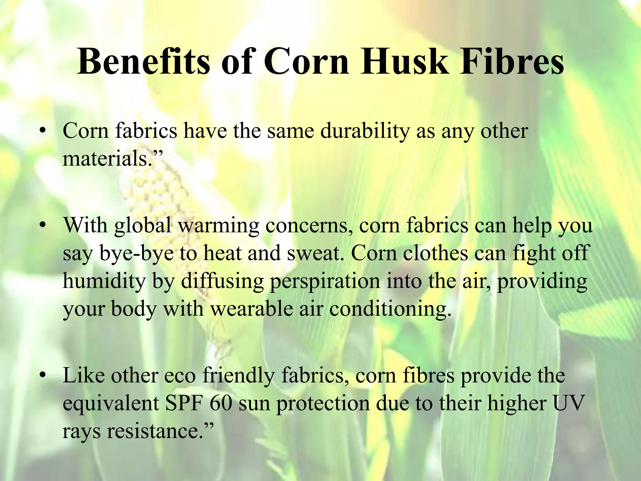 Study on Corn Husk | PPTX