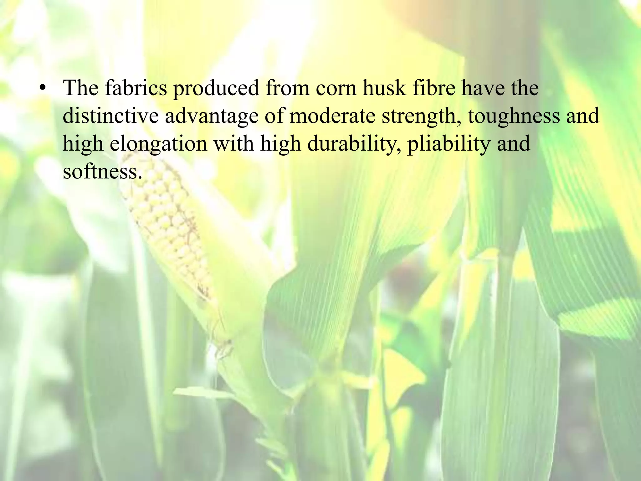 Study on Corn Husk | PPTX