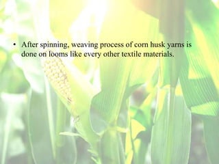 Study on Corn Husk | PPTX