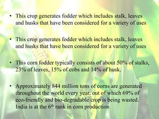 Study on Corn Husk | PPTX