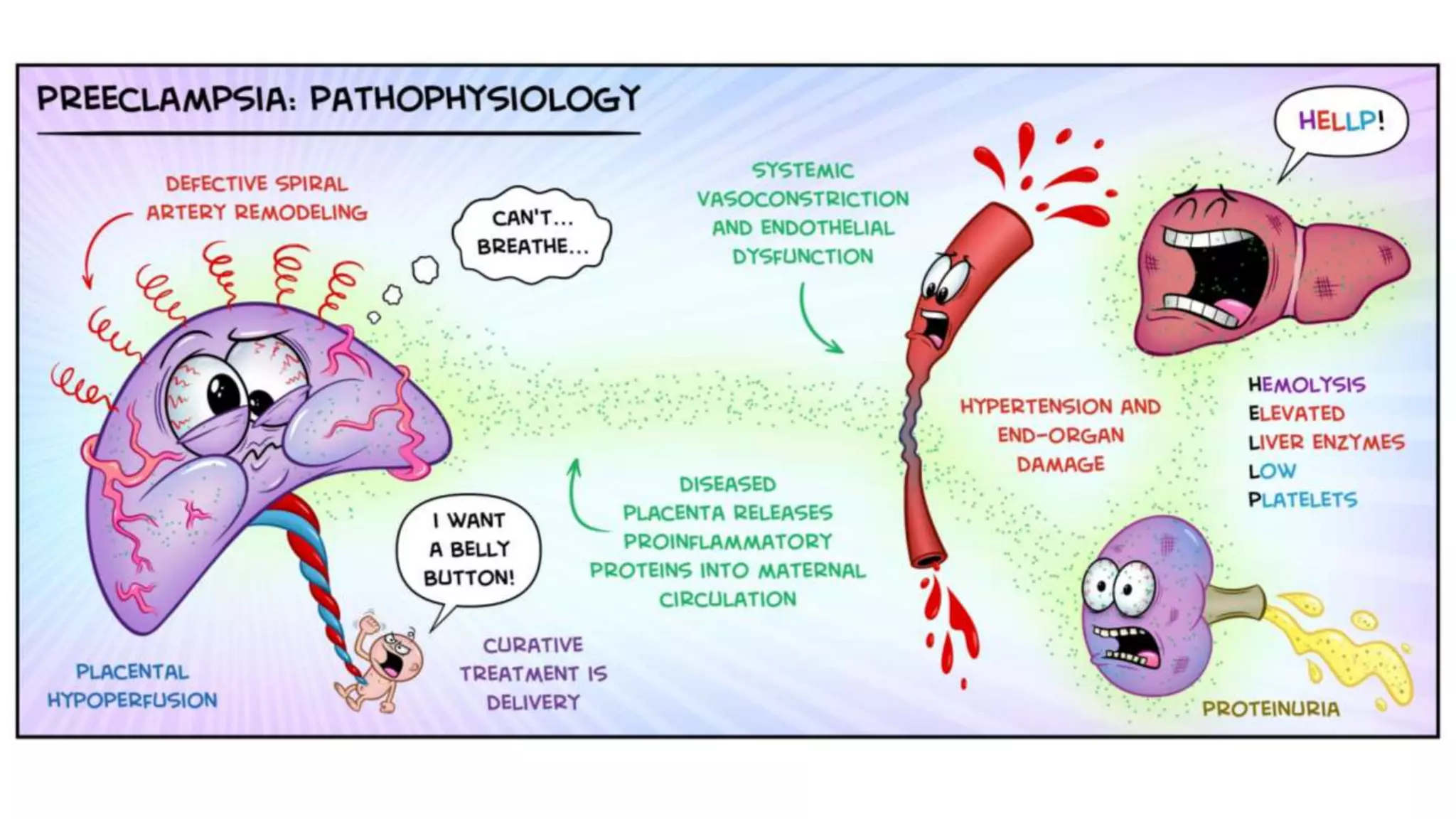 pathogenesis of Pre eclampsia | PPTX